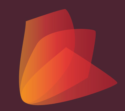 ilumin Newsletter from ilumin